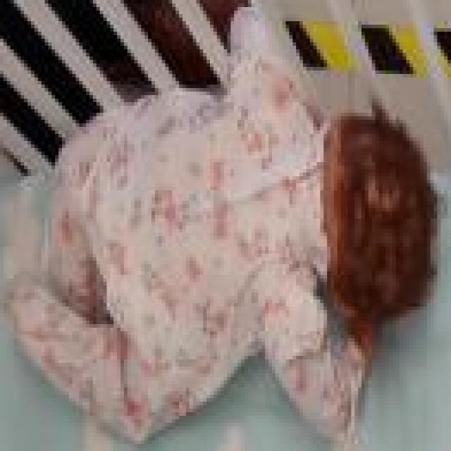 baby-posture Object Detection Model by fun