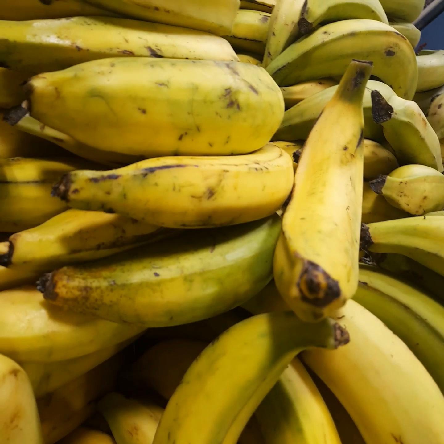 DPSV42 - Roboflow Universe