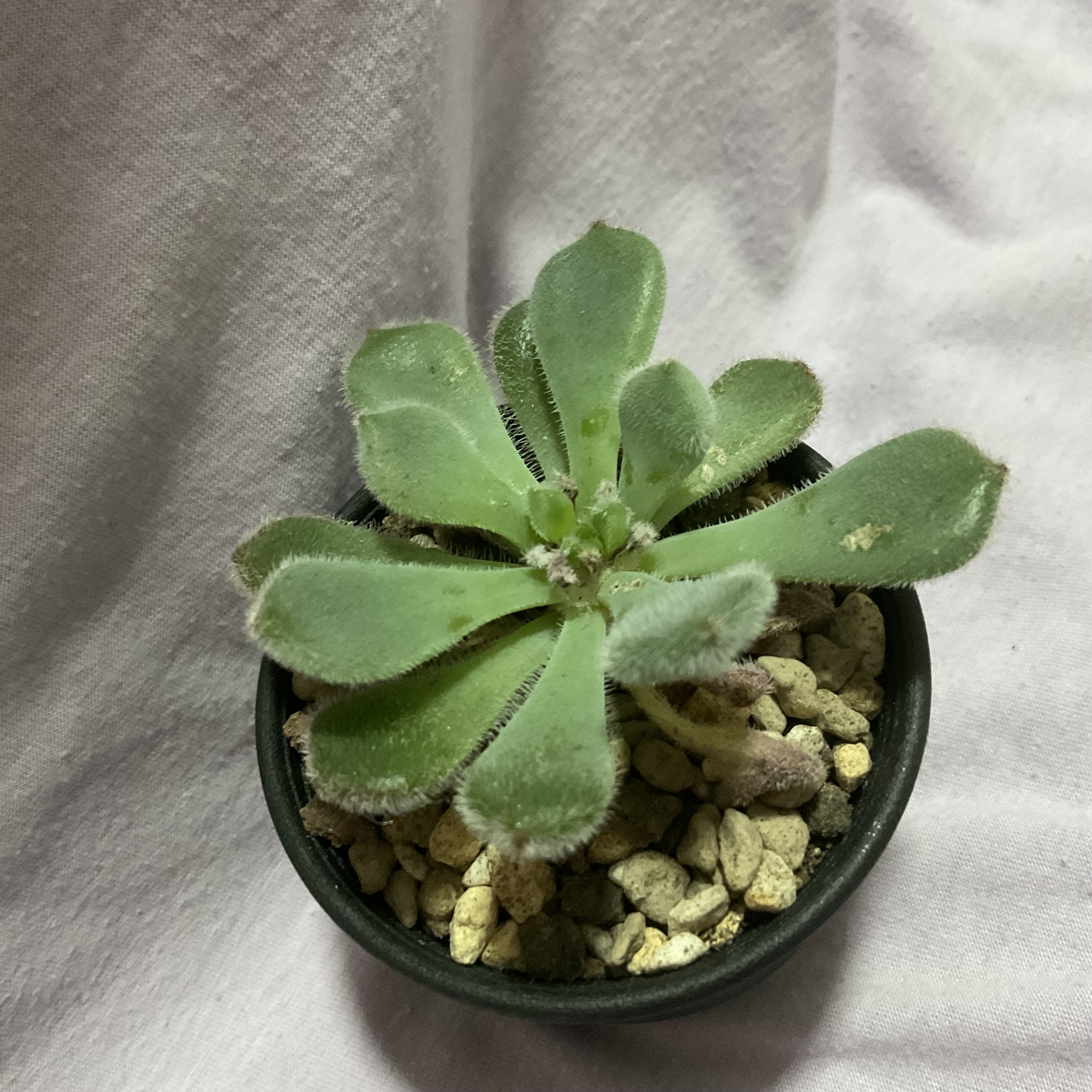 Training (training-ucsiw) - Roboflow Universe