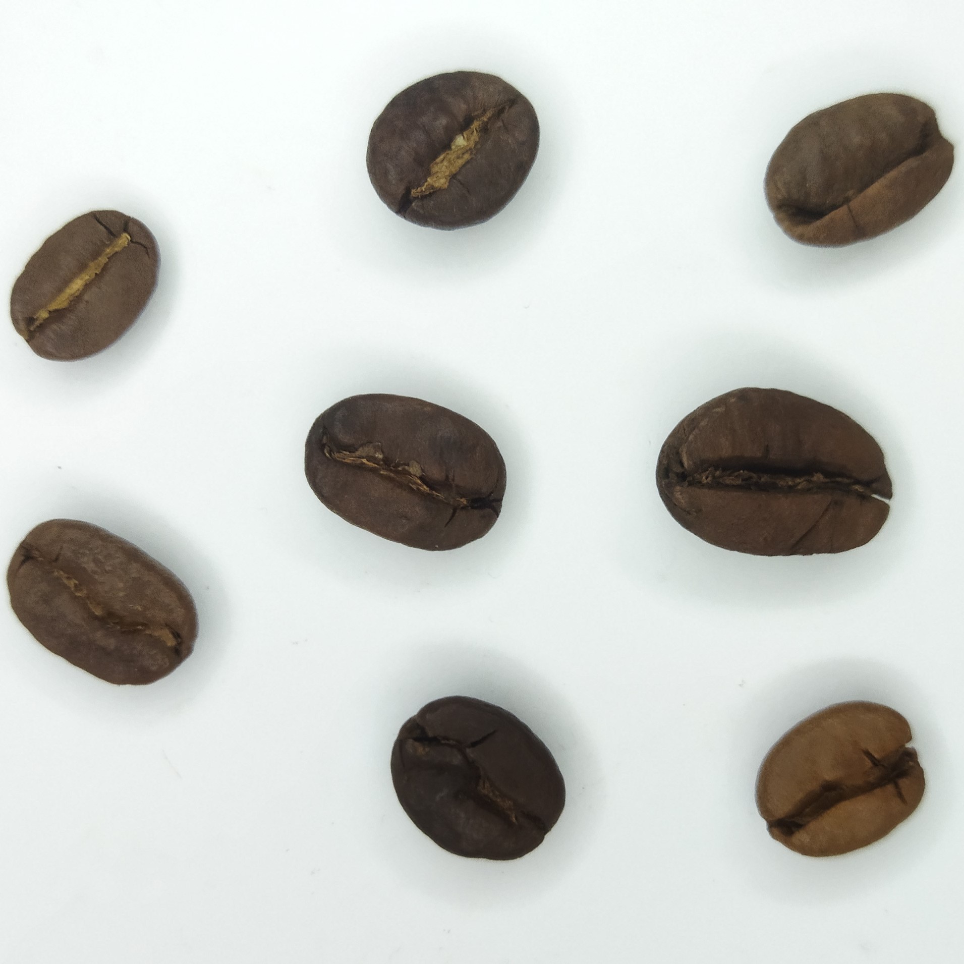 Coffee Beans Detection Test Object Detection Model By Coffee