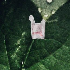 plastic bag Object Detection Dataset by Lemon Dataset