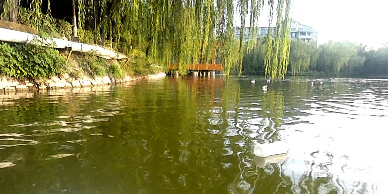 FloW_IMG Object Detection Model by flow