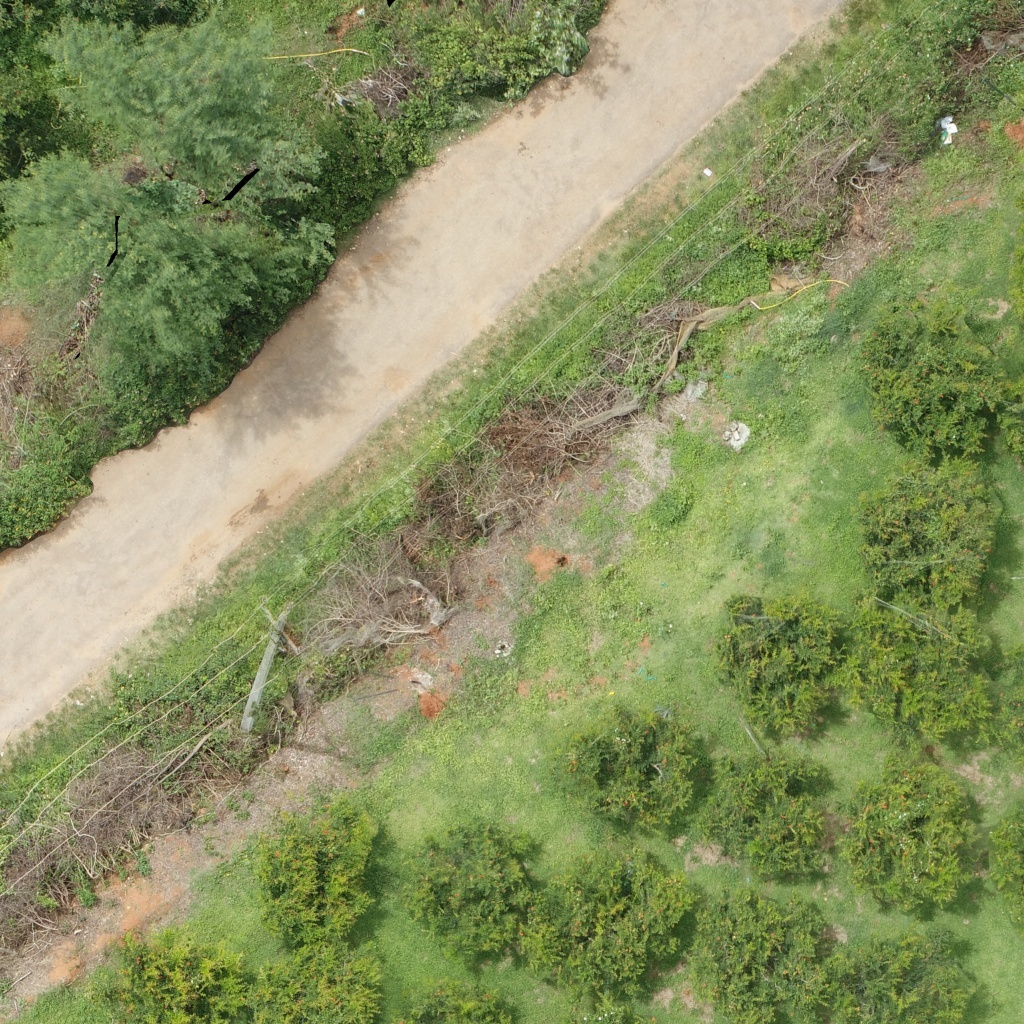 pomegranate tree detection Object Detection Dataset by college