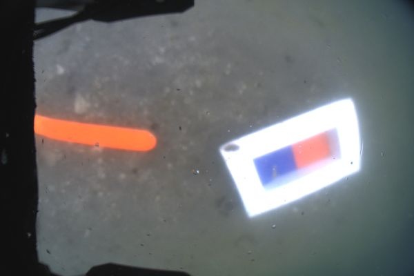 EXTREMELY STUPID MONKEY HOLE Object Detection Dataset and Pre-Trained Model by kaleidoscope