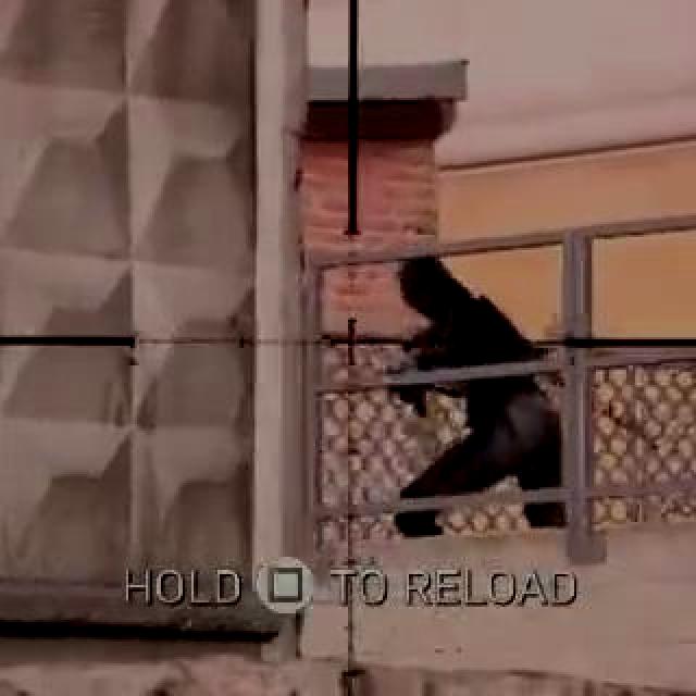 cod purple - Roboflow Universe