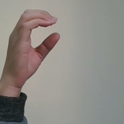 Hand Gesture Classification Dataset by HERBAZ Nourdine