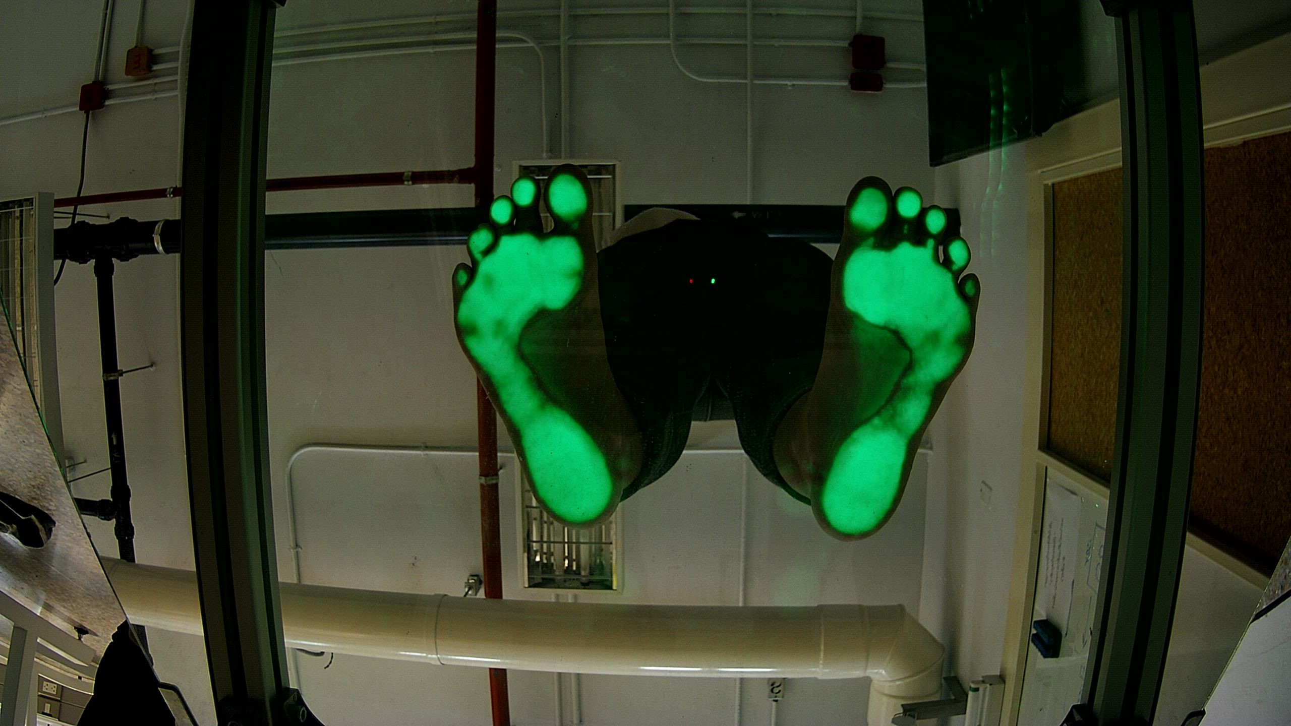 Foot Object Detection Dataset and Pre-Trained Model by FootArch