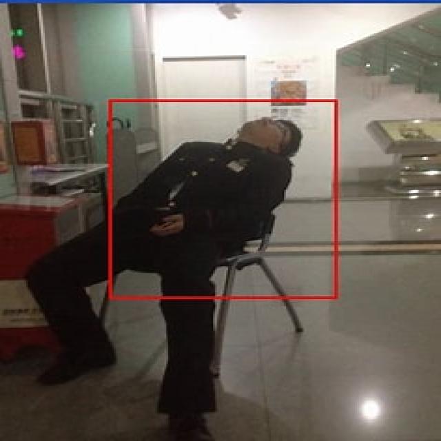 sleeping Object Detection Model by ss