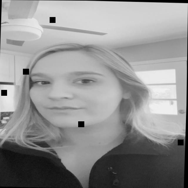 mask Object Detection Model by mainel
