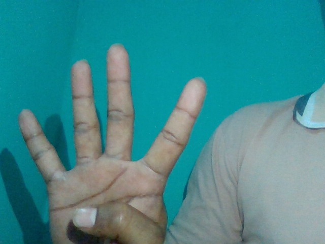 gestures Object Detection Dataset and Pre-Trained Model by Anil