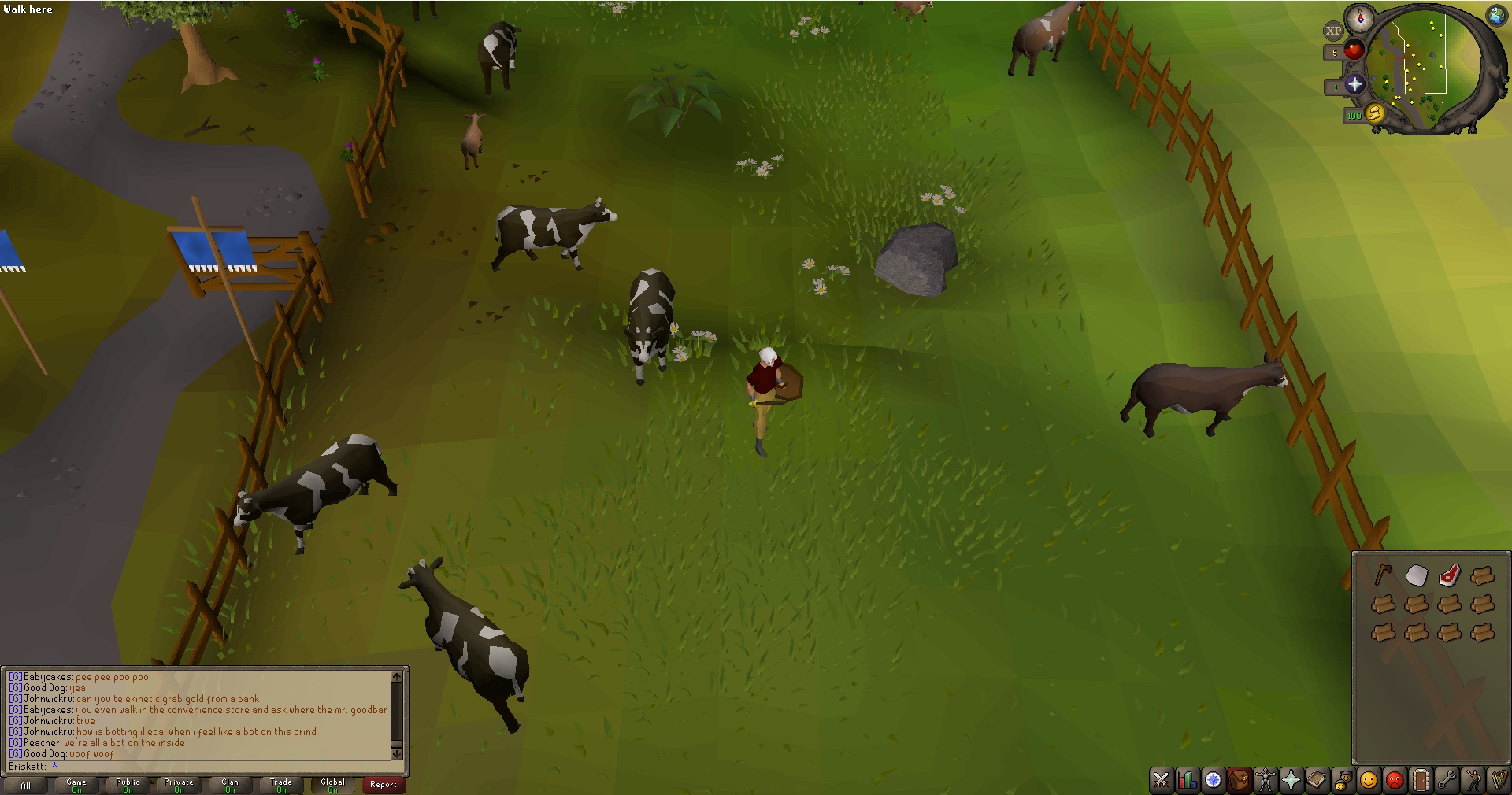 Cow Detection Object Detection Dataset By Osrs