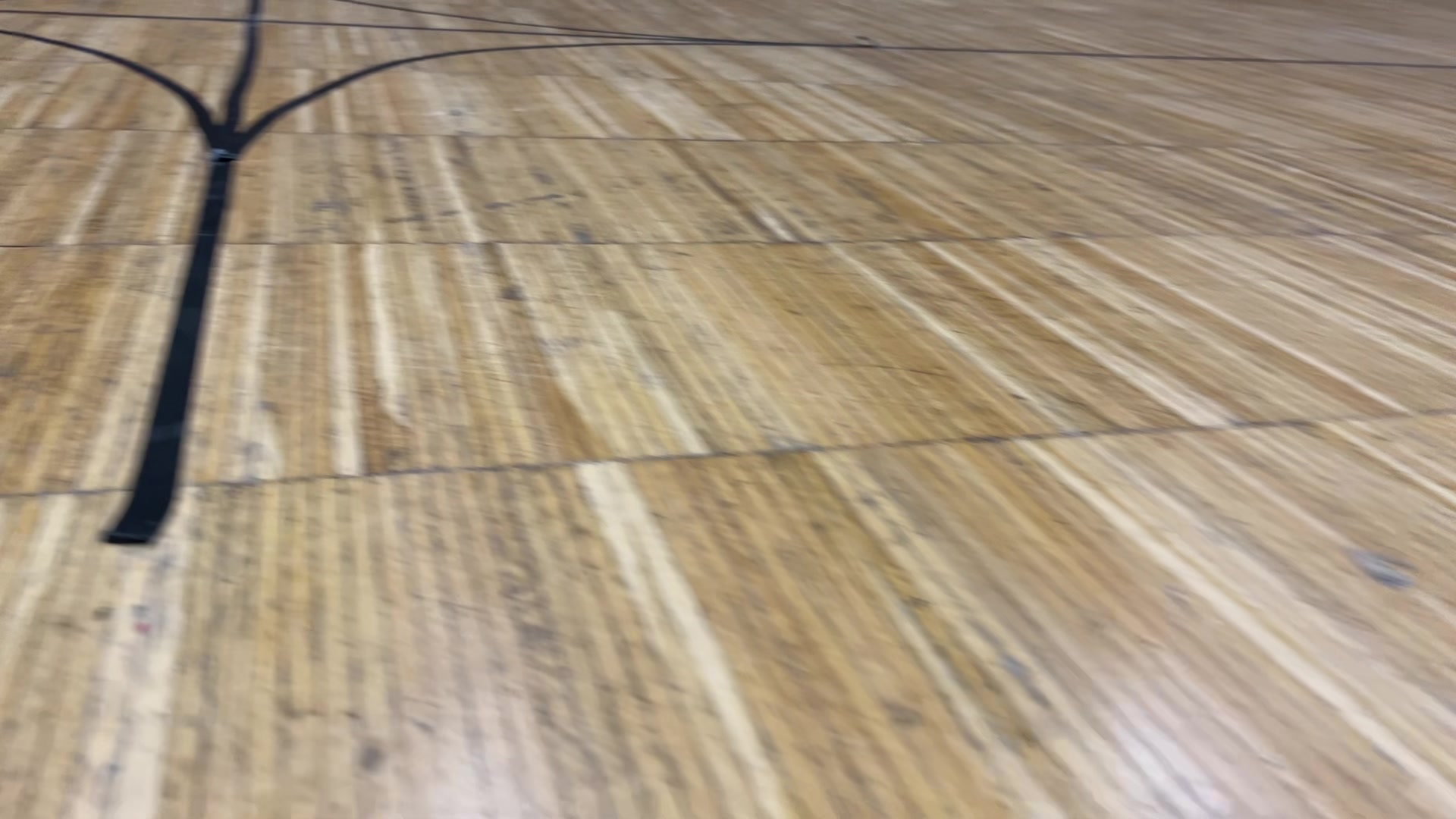 Lane Line Detection Instance Segmentation Dataset by Gabriel