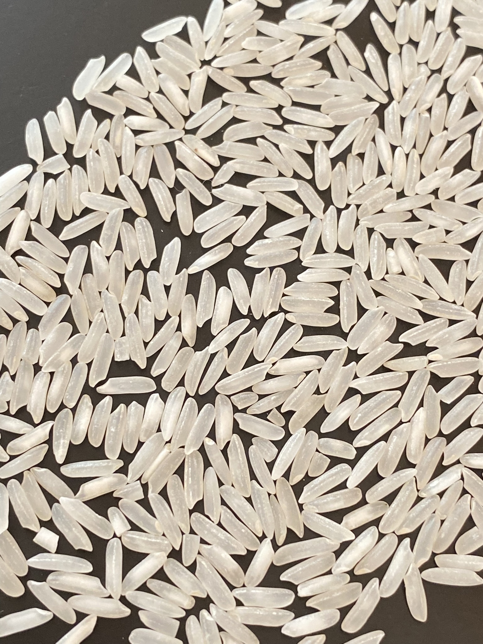 Rice Detection Segmentation Instance Segmentation Dataset And Pre