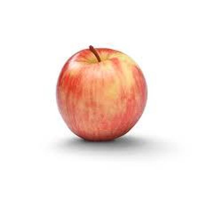 apple Object Detection Model by project-wenxc
