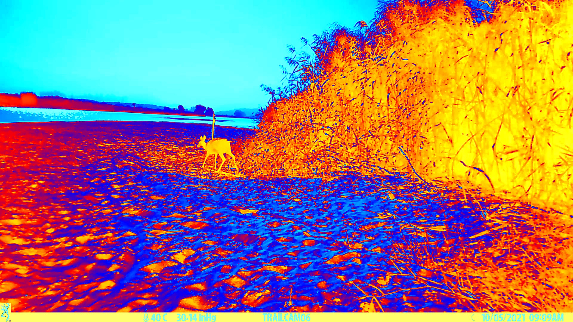 Thermal Object Detection Dataset by frc