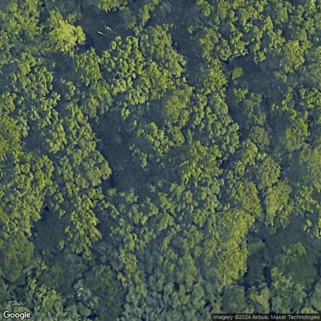 Ah you know Instance Segmentation Dataset and Pre-Trained Model by plan