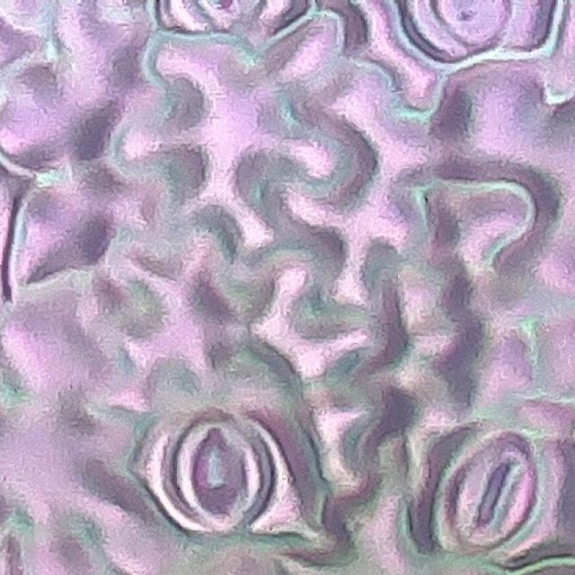 Stomata Of Chilense Object Detection Dataset And Pre Trained Model By