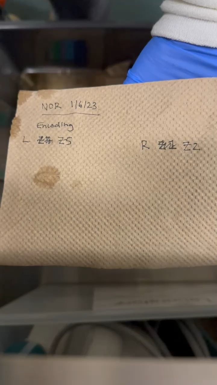 Mouse Detector Object Detection Dataset and Pre-Trained Model by Conboy ...