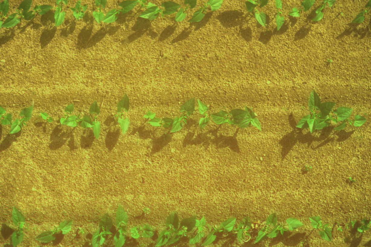 (project-7z3c5) - Roboflow Universe