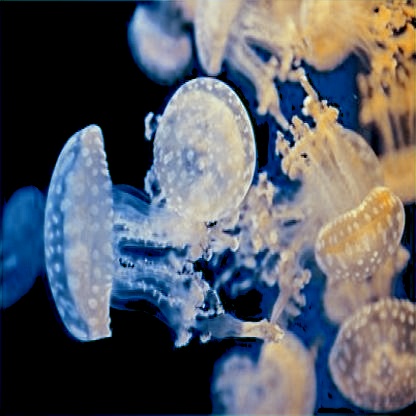 123 Object Detection Dataset by dididi