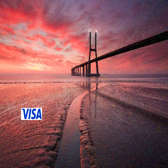 visa test Object Detection Dataset by hi