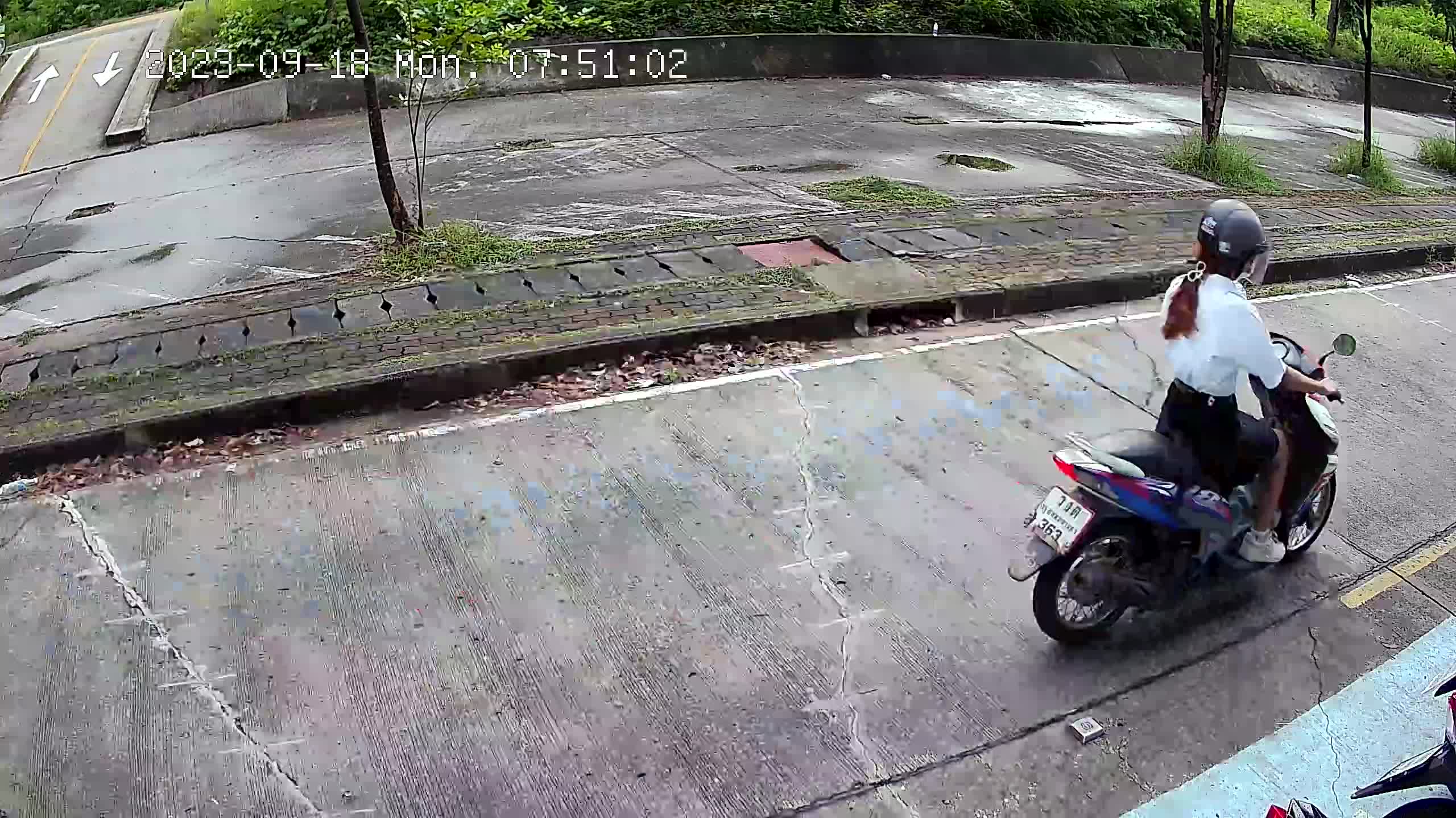 Newdata Object Detection Dataset By Suranaree University Of Technology