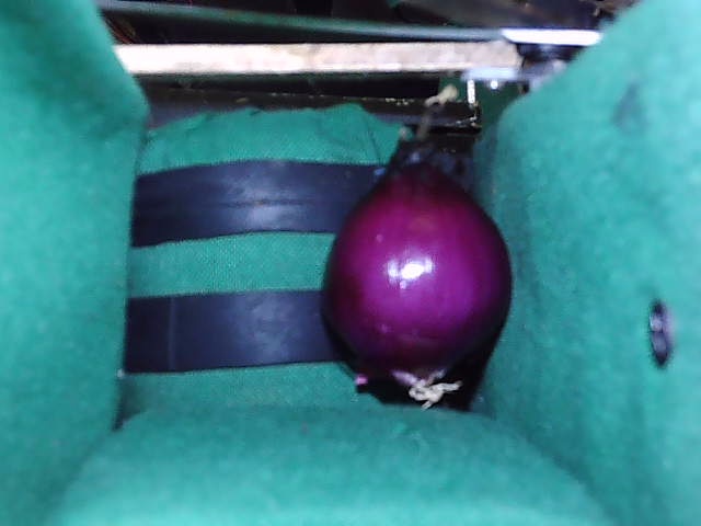 Onion Grading Instance Segmentation Dataset by Edward