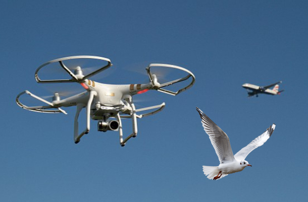 Drone_Airplane_Birds Object Detection Dataset and Pre-Trained Model by Harbin University of ...
