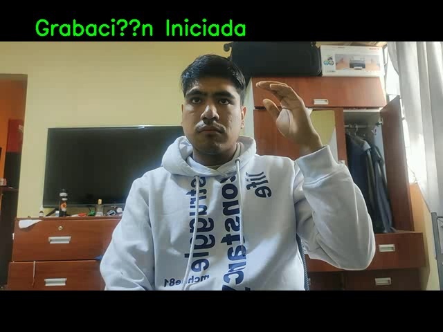 Fu Instance Segmentation Dataset by anthony