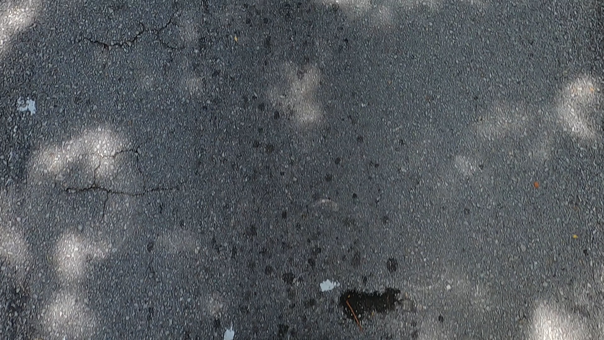 My Road Crack Dataset Object Detection Dataset And Pre Trained Model By
