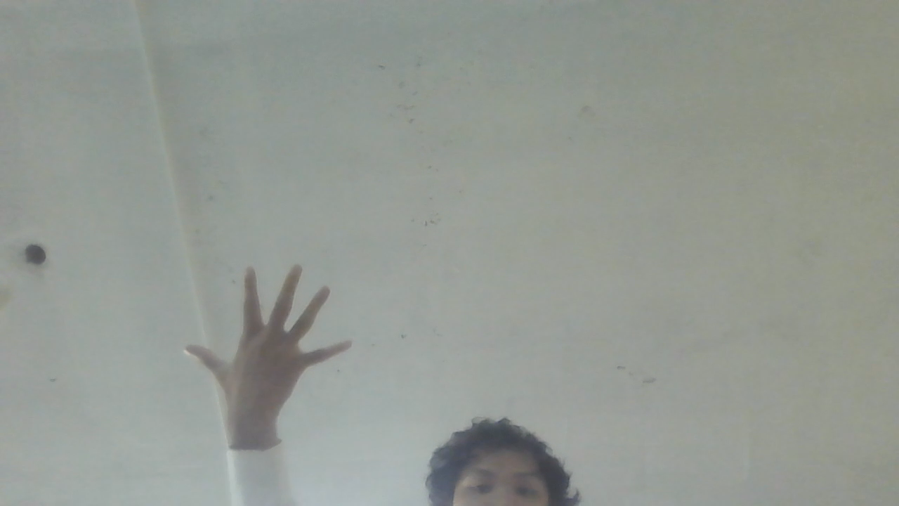 hand Object Detection Dataset by a