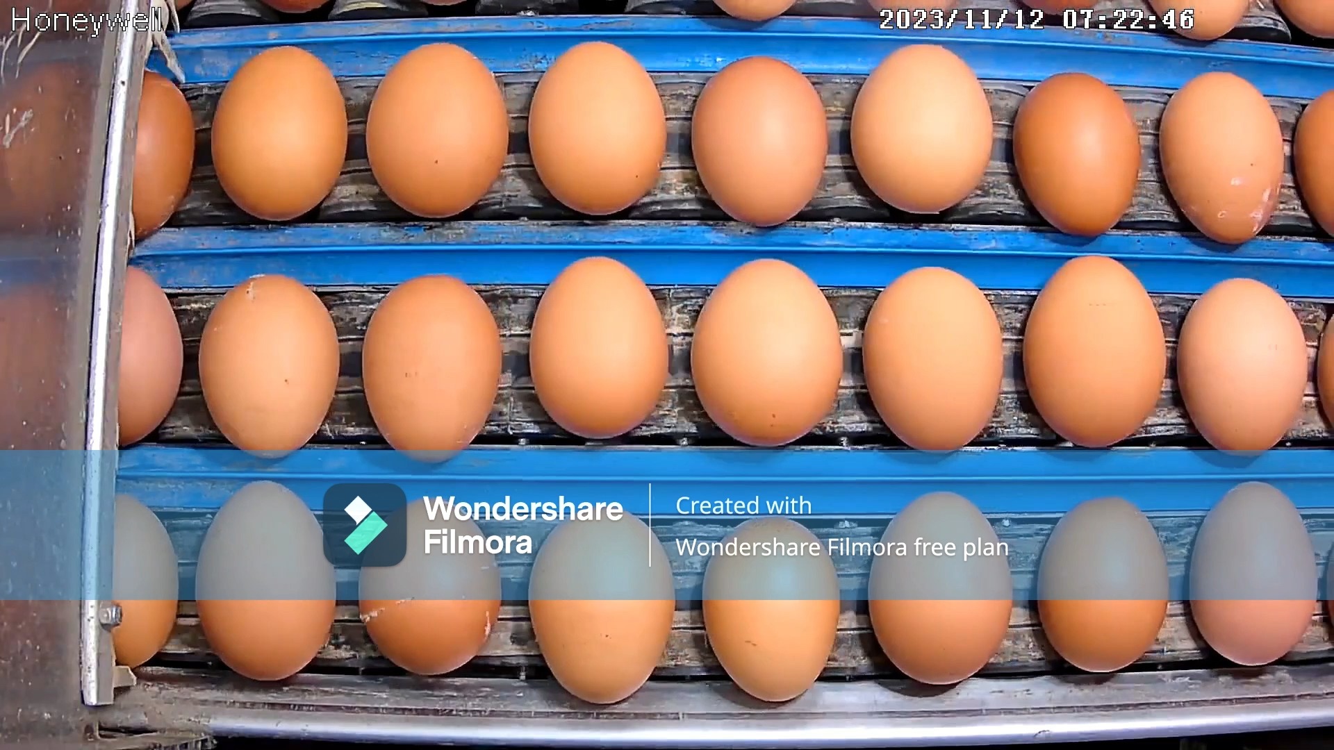 How To Use The Eggs Object Detection Api