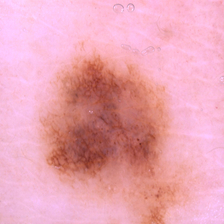 fdgdf Classification Dataset by Tesfaye Geto