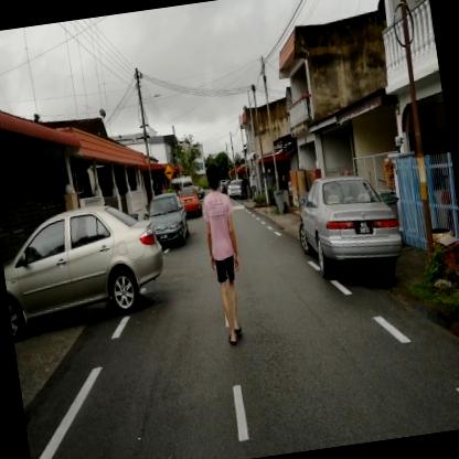 Walking Object Detection Dataset by KMUTT AI