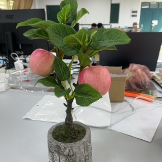 Apple Instance Segmentation Dataset and Pre-Trained Model by HJYYYY