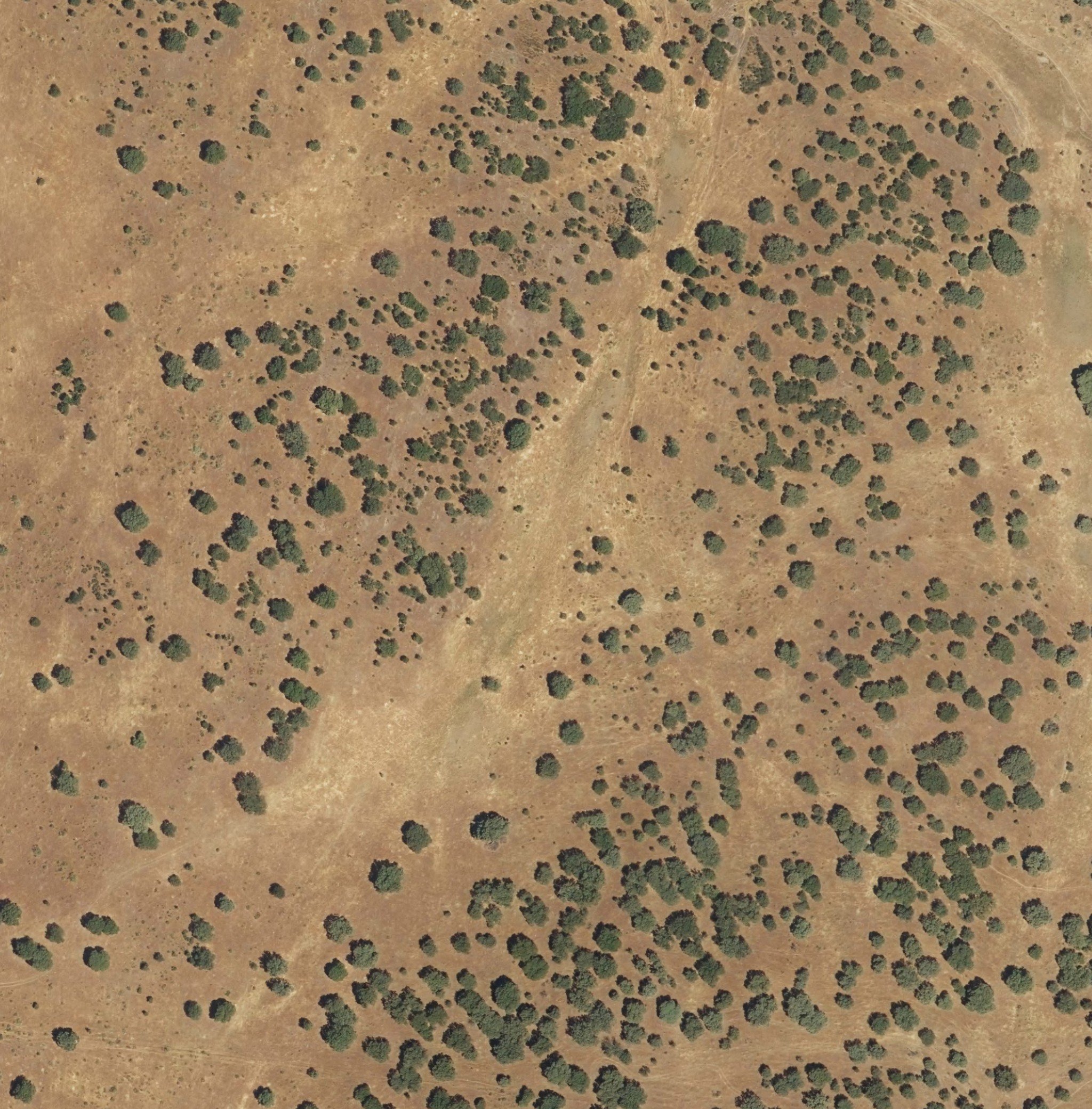 How to Use the PID_Tarea Object Detection API