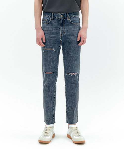 aaa Object Detection Dataset by cap