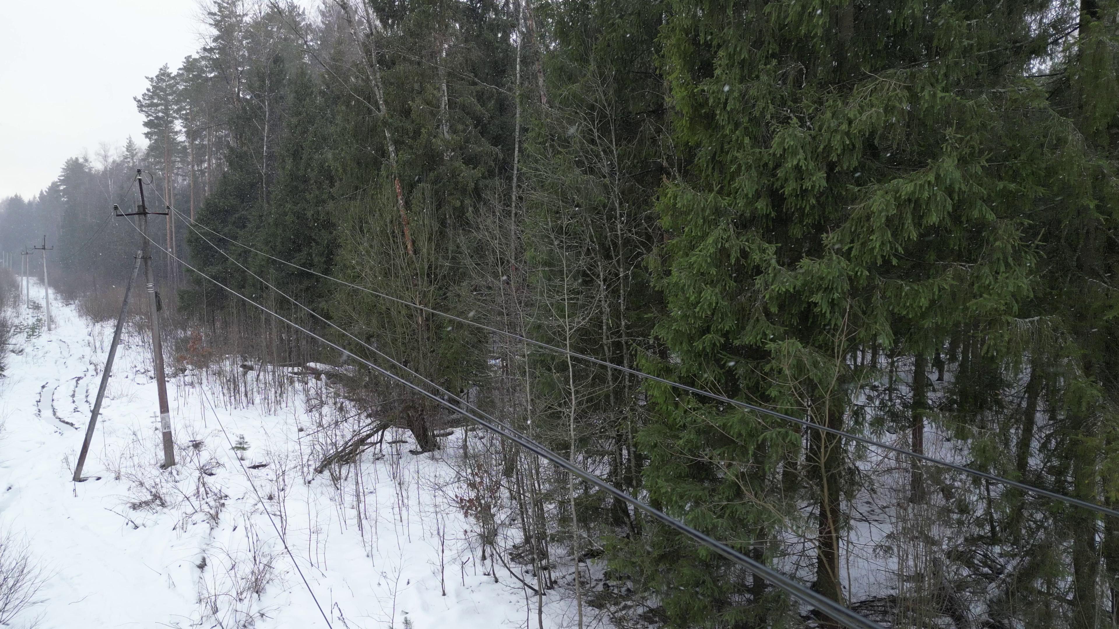 Poles_labeled Instance Segmentation Dataset by Power Line Poles