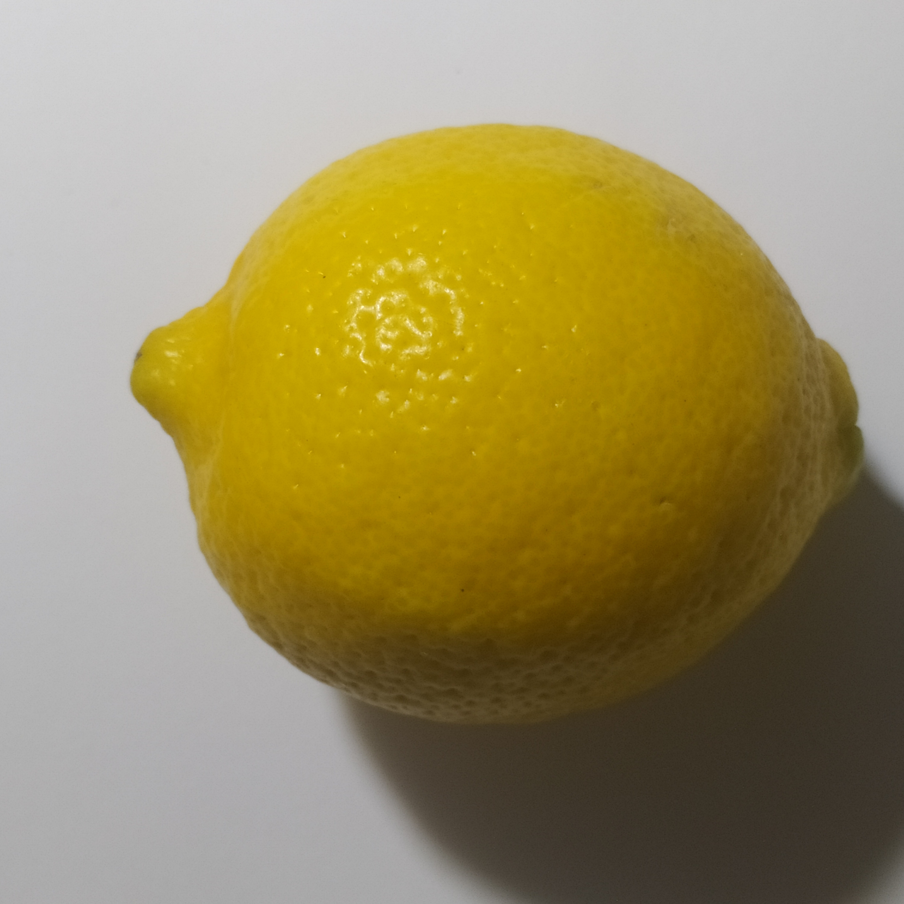 FP Object Detection Dataset by Politeknik Negeri Batam