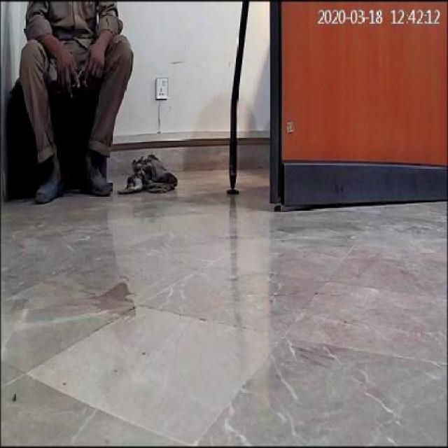 Spill Dataset Object Detection Dataset And Pre Trained Model By Waleeds