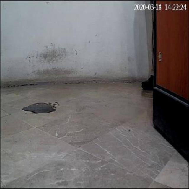 spill_Dataset Object Detection Dataset by waleeds workspace