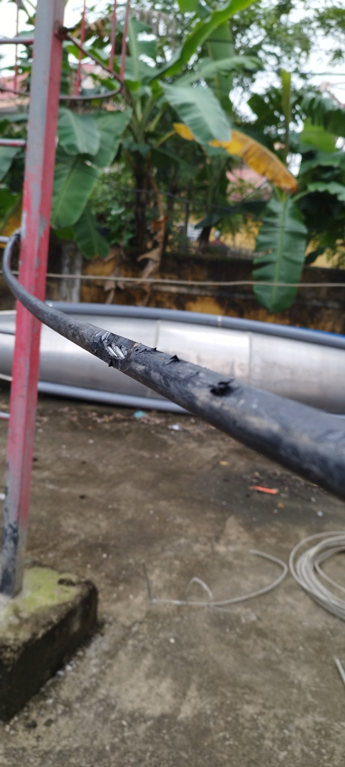 3LT_ddan_tt_mon Object Detection Dataset by 3LT