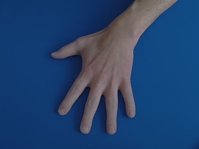 Hands Object Detection Model by DLHans