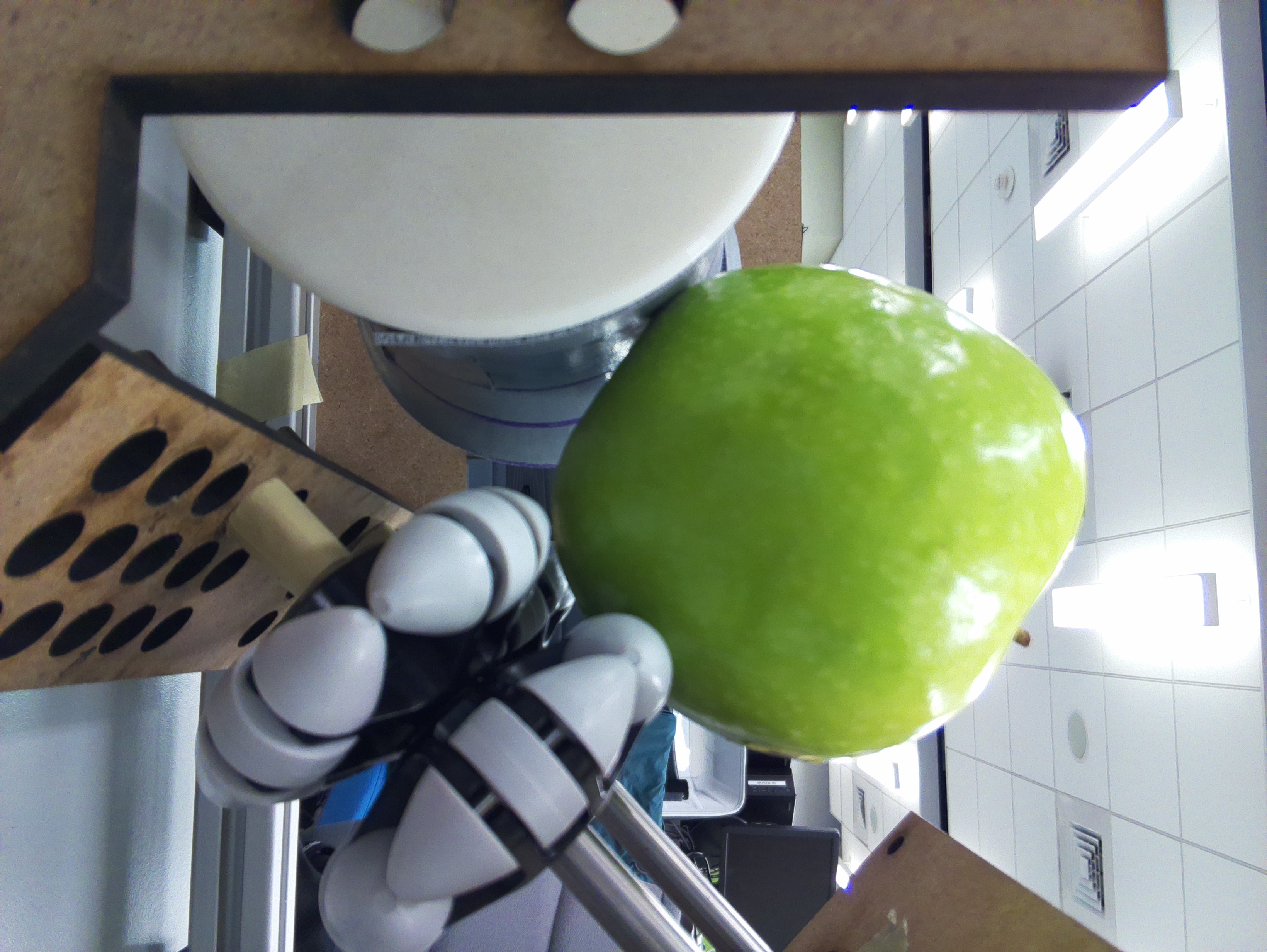 Apple Orientation Estimation Keypoint Detection Dataset by Apple Clipping