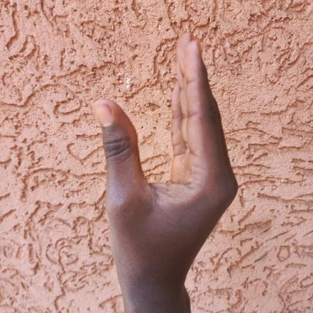 Hand Detection Object Detection Dataset And Pre Trained Model By Train