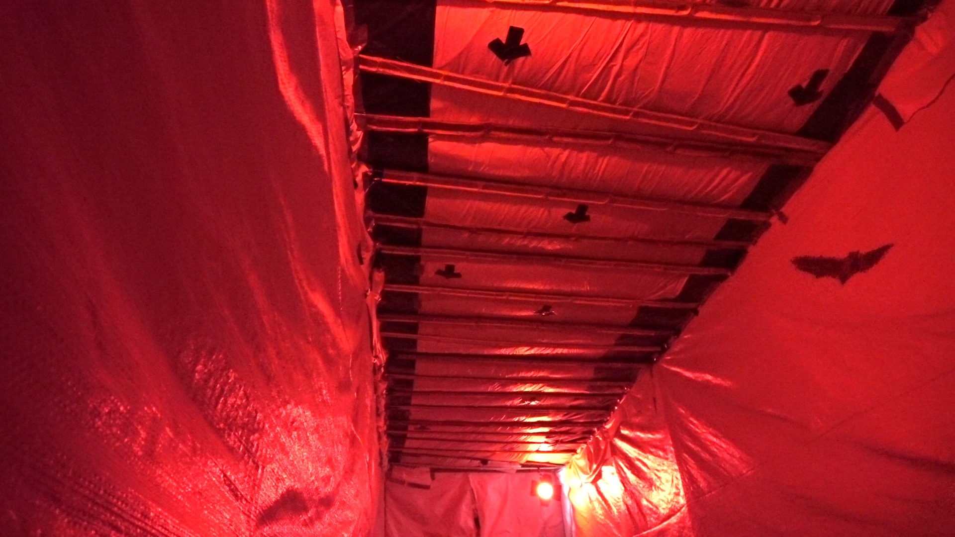 Bat tracking - Roboflow Universe