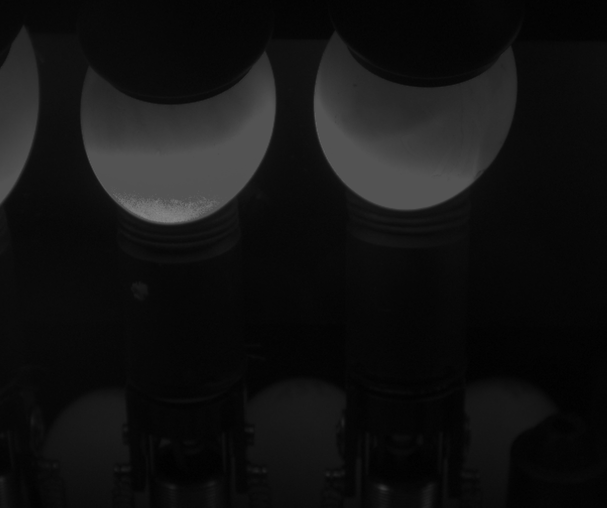 Egg Segmentation Dataset Instance Segmentation Dataset By Ovosexage