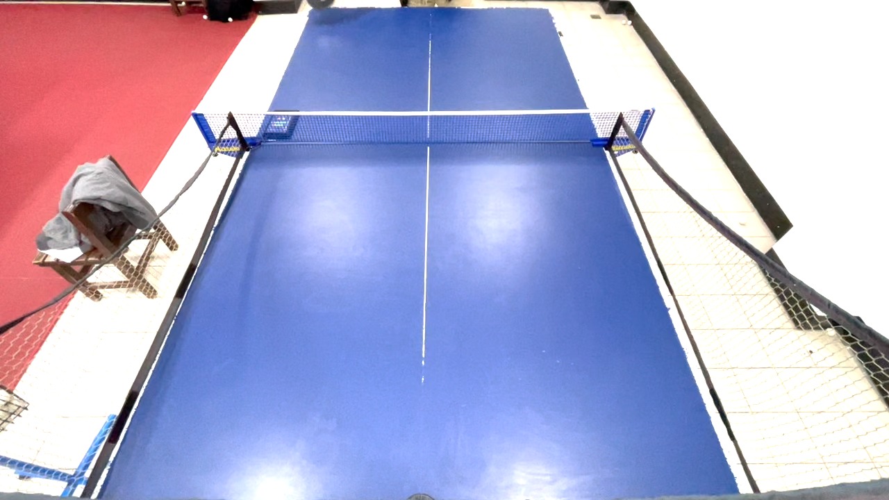 white-ball Object Detection Dataset and Pre-Trained Model by miku