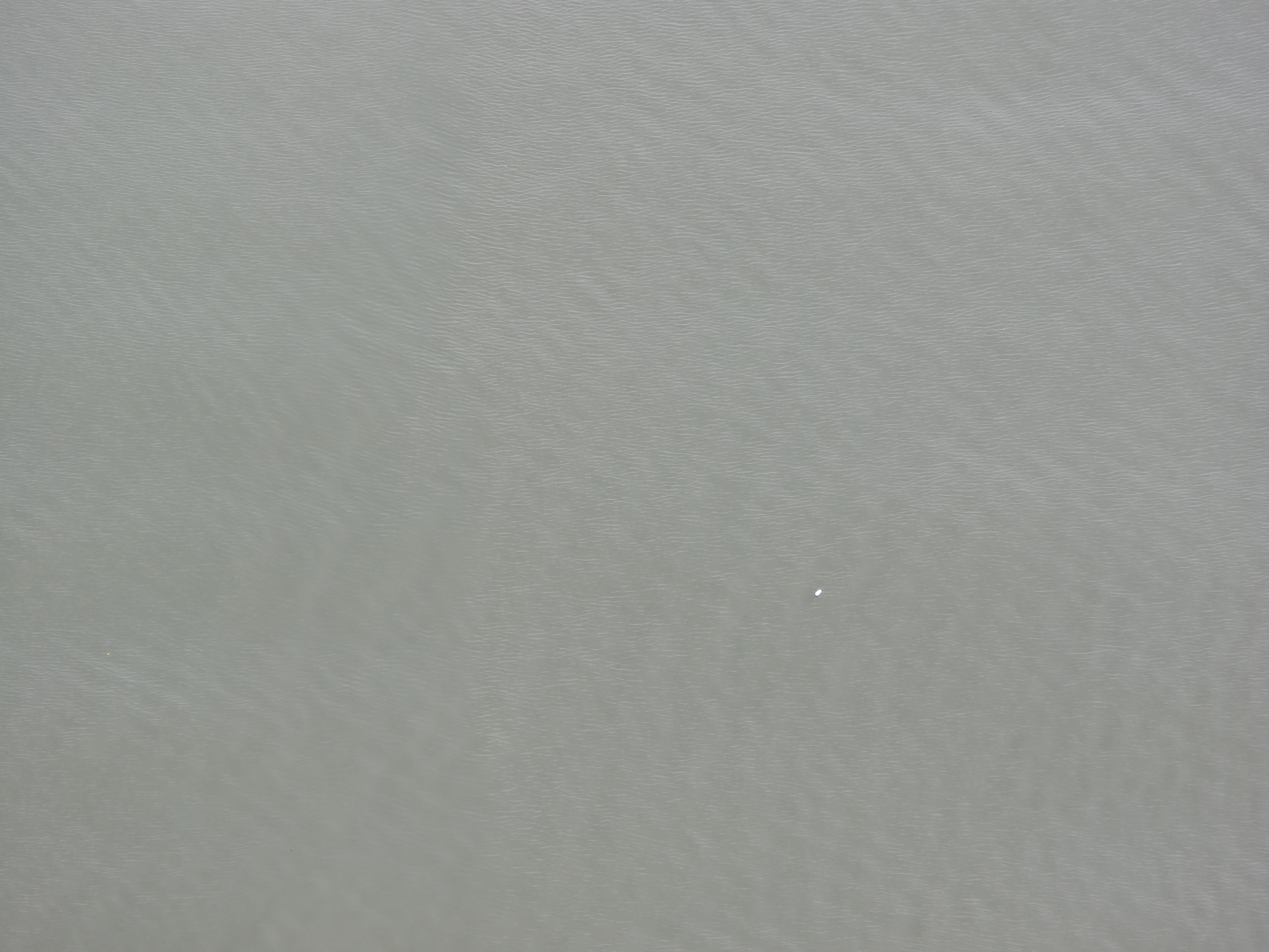 plastic finder Object Detection Dataset by Elephant