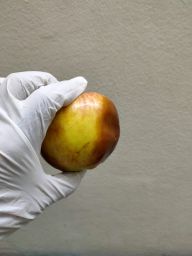 Fruits Detection and Quality Analysis Object Detection Dataset by Apple ...